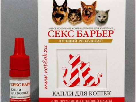 Секс барьер для кошек