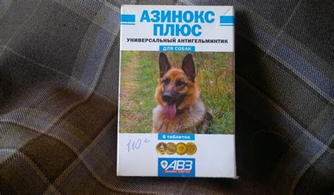 Азинокс плюс для собак: отзывы и инструкция как давать собаке