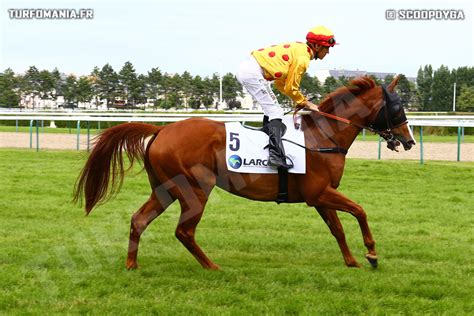 GOLD-FUN - Cheval - Retrouvez toutes les performances de GOLD-FUN