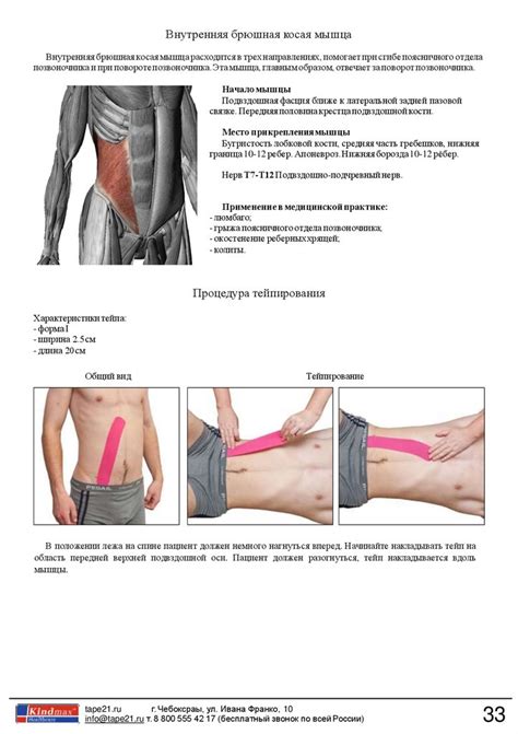 Руководство по кинезио тейпированию - презентация онлайн