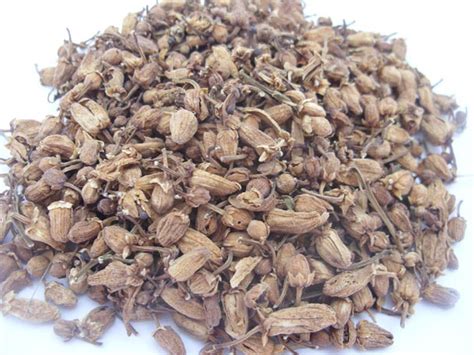 Dai Dai Hua - TCM Herbs - TCM Wiki