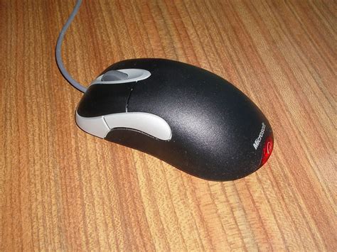 Mouse en