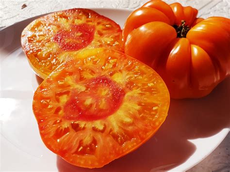 Томат Песочный замок: описание сорта, отзывы, фото | tomatland.ru