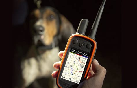 Garmin Alpha 100 T5 Collar Radiolocalizador GPS venta alpha 100 t5 barato