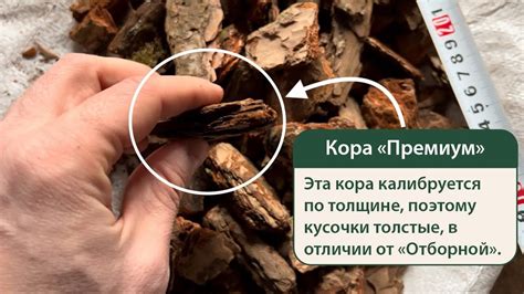 Кора сосны 3-6 см Премиум (Толстые кусочки) | Обзор качества Баркинвуд ...