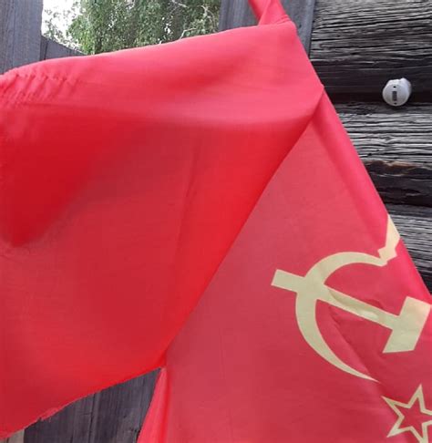 Неизвестные сорвали советские флаги в Николаевке Красноярска