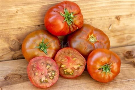 ШОКОЛАДНЫЙ ЧЕМПИОН (Dwarf Chocolate champion) — BTomate
