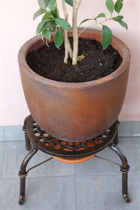 ProPlant e