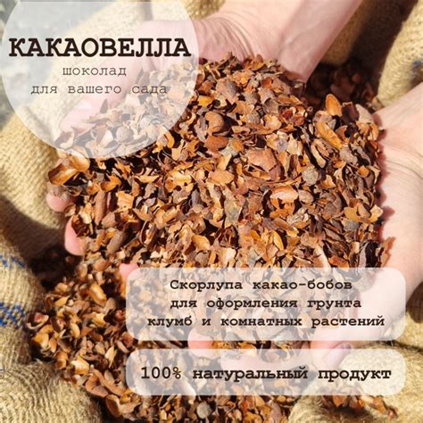 Какаовелла 5л - купить по низкой цене в интернет-магазине OZON (1171445083)