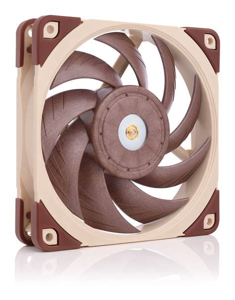 Noctua Nf A12x25 Pwm Premium Quiet Fan 4 Pin 120mm | Desertcart EGYPT