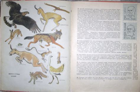 Свирин А. Ляшенко М. Книги знаний: kid_book_museum — LiveJournal