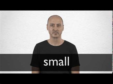 SMALL definition and meaning | Collins English Dictionary
