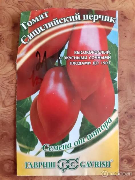 Описание сорта томата Сицилийский перчик и его характеристика