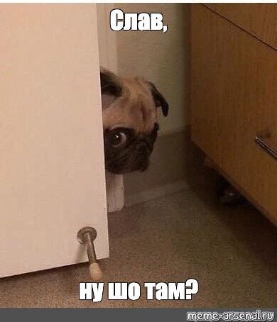 Meme: "Слав, ну шо там?" - All Templates - Meme-arsenal.com