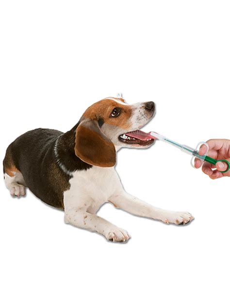 Cat Dog Pill Shooter Medicine Liquid Feeding Dispenser Pet Pill Popper ...