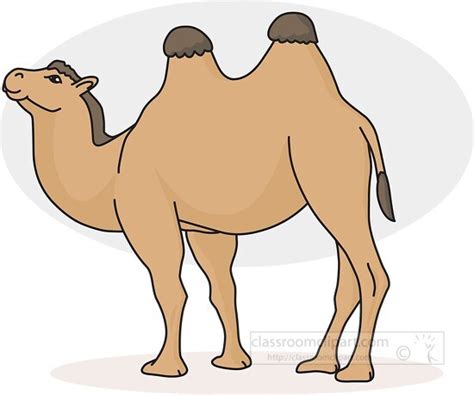 Camel Clipart-dromedary camel black white outline clipart
