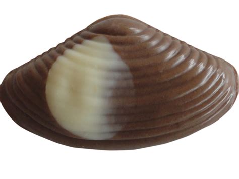 Sea Figures 60 g | Melbon AD