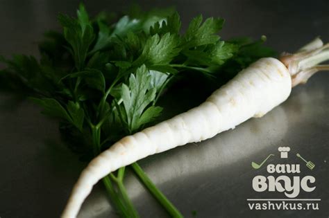 Корень петрушки. Калорийность, польза и вред - ВашВкус
