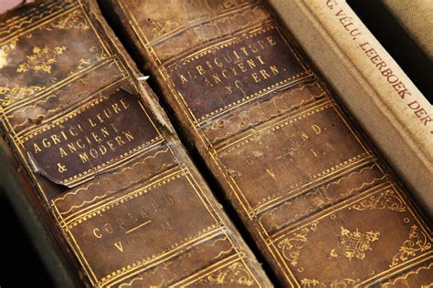 История Книги Фото Картинка – Telegraph