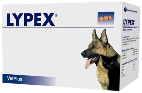 Lypex - Petslowcost