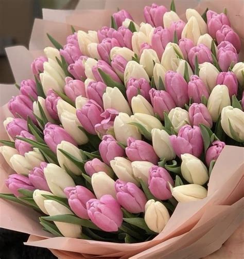 Pin by Saulė Sitavičienė on Gardens | Tulips flowers, Pink flowers, Tulips
