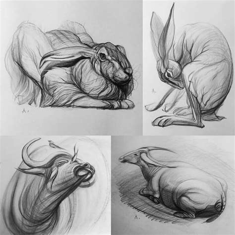Pin van Play Boy Tattoo op Desenhando | Dieren, Anatomie