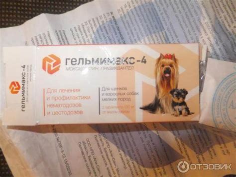 Гельмимакс для кошек: инструкция по применению, отзывы, аналоги