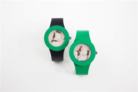 THE ANT WATCH – Analog Watch Co.