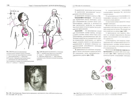 Иллюстрация 1 из 1 для Основы семиотики заболеваний внутренних органов ...