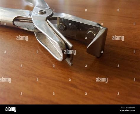 Staple remover Stock Photo - Alamy