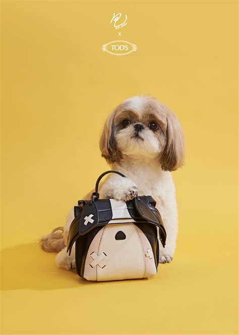 Meet Mr Bags, the Chinese top digital influencer who’s changing the way ...