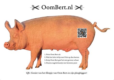 https://oombert.nl/download-Oom-Bert.pdf