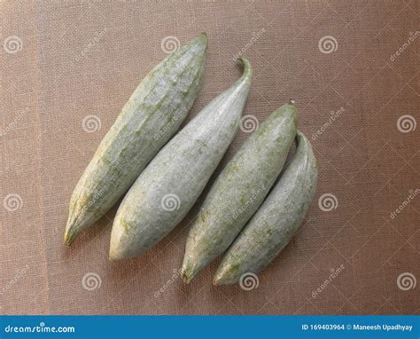 Padwal stock photo. Image of asian, agriculture, crop - 169403964