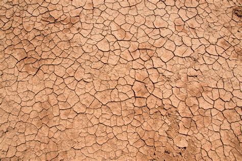 「Arida」の画像 - 309 件の Stock 写真、ベクターおよびビデオ | Adobe Stock