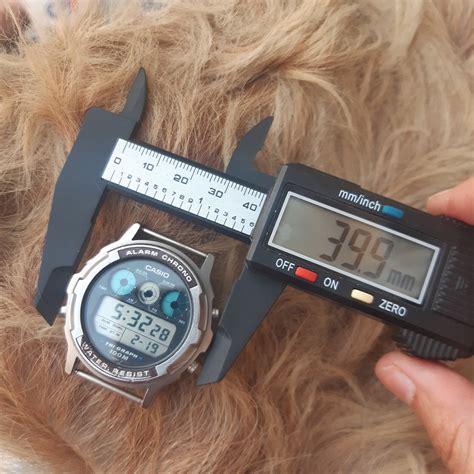 Casio DGW-300 Digi Graph Alarm Chrono Water Resist 100m - Etsy