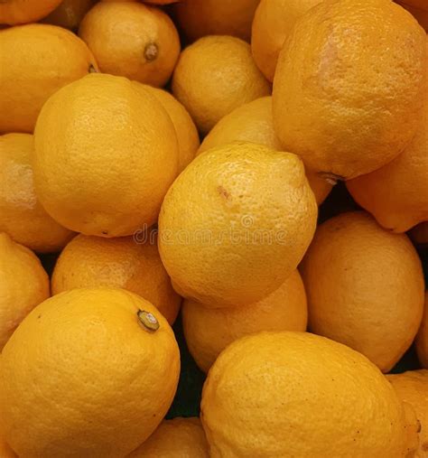 Lemon Fruit. Lemons are Rich in Vitamin C Stock Photo - Image of lemons ...
