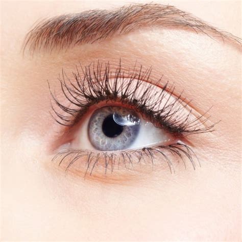 5 choses à savoir sur la coloration des sourcils