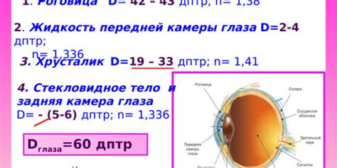 Зрение -2 (-3, -5, -8) как видит человек при близорукости?