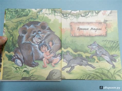 Книга: Маугли - Редьярд Киплинг. Купить книгу, читать рецензии | Лабиринт
