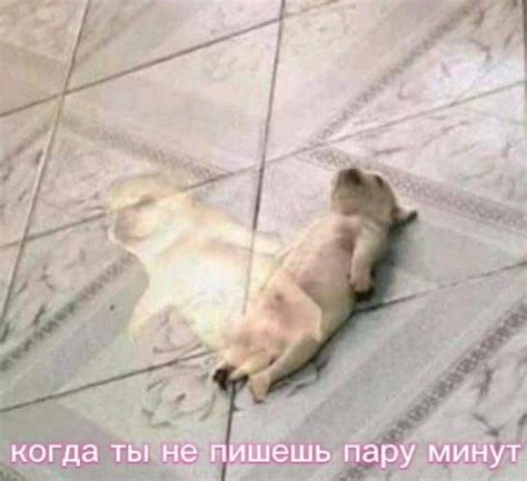 - пикчи на все случаи | пикчи | ВКонтакте