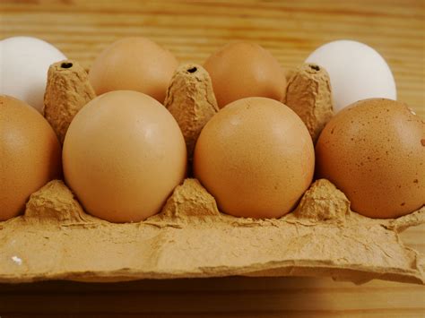 Eggstra! Eggstra! Read all about it! – Ruffwing Farms
