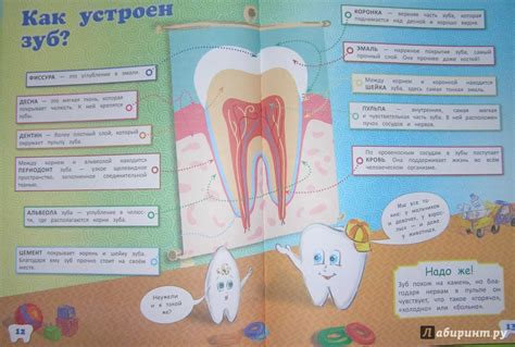 Книга: Детям про зубки. Невероятное путешествие по Зубландии - . Купить ...