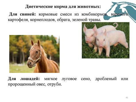 Принципы и средства терапии - online presentation