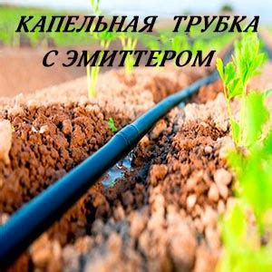 Многолетняя капельная трубка 16 мм с эмиттером - купить многолетнюю ...