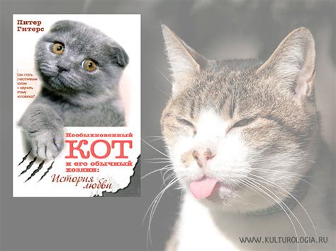 10 лучших книг, главными героями которых являются кошки