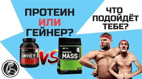 Протеин для набора мышечной массы какой лучше для начинающих: Какой ...