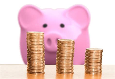 Ціни на живець свиней знизилися на 5,3% — Агробізнес сьогодні
