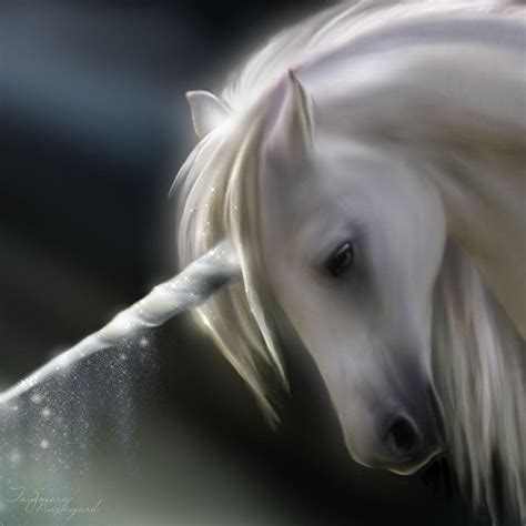 Monoceros Digital Art by Tammara Markegard - Fine Art America