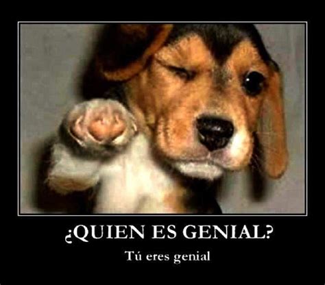 Imagen Quien Es Genial | Mil Imagenes de Amor