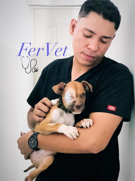 FerVet